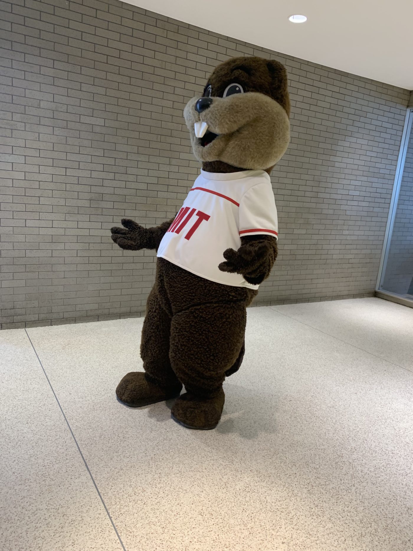 How to be Tim The Beaver | MIT Admissions