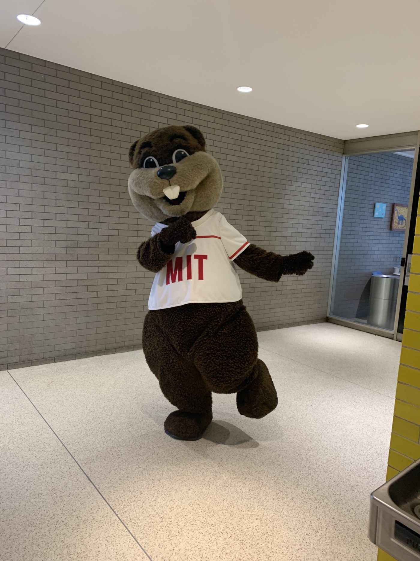 How to be Tim The Beaver | MIT Admissions