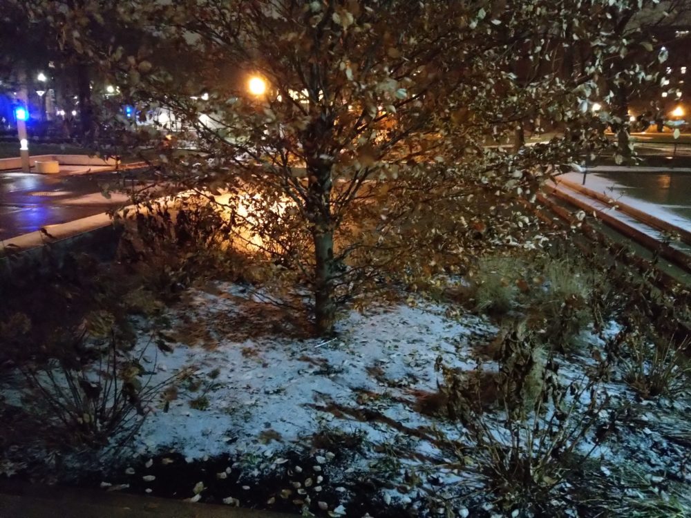 FIRST SNOW!!! | MIT Admissions