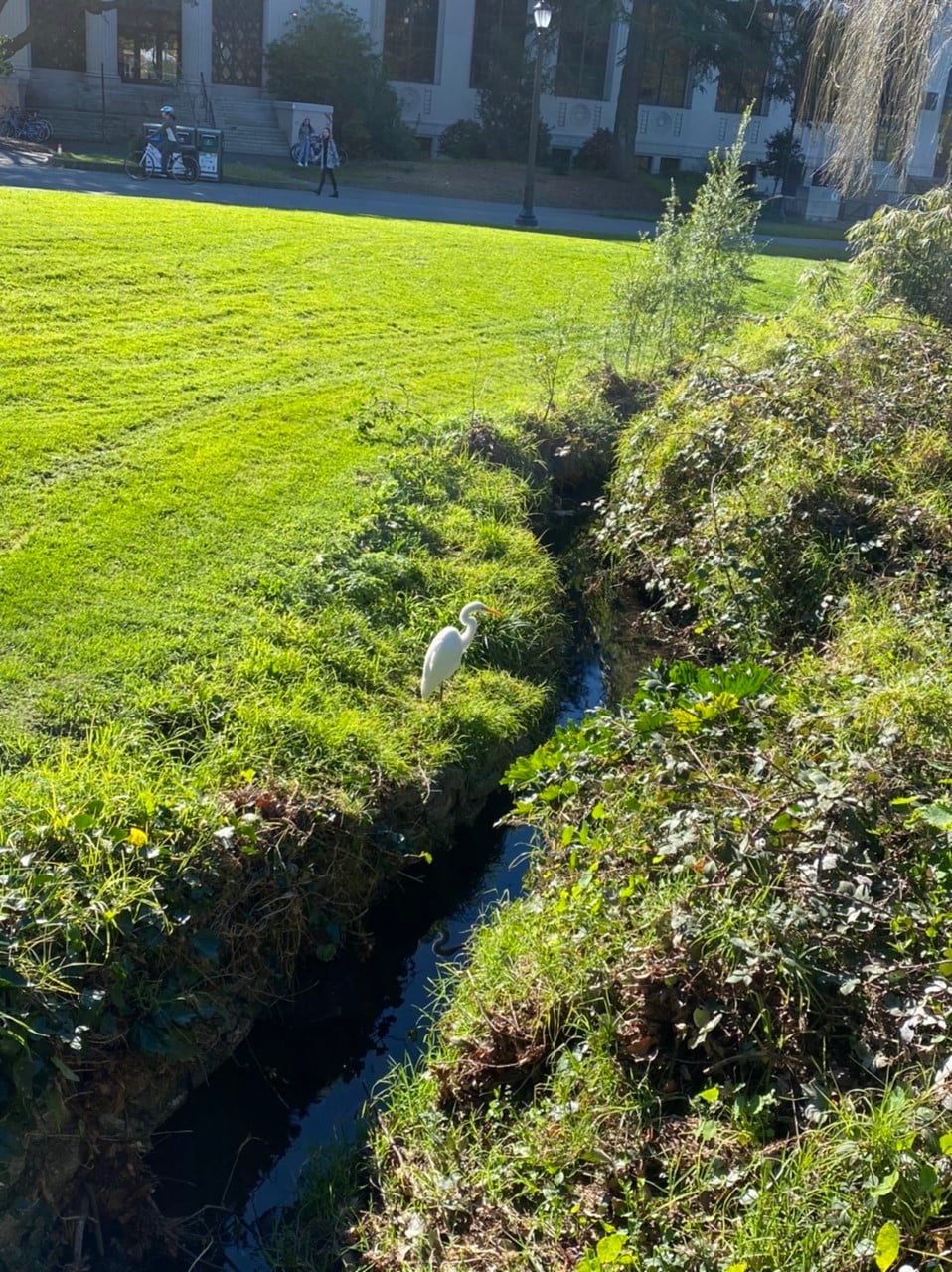 Finally, I Wrote a Post about Grad School | MIT Admissions