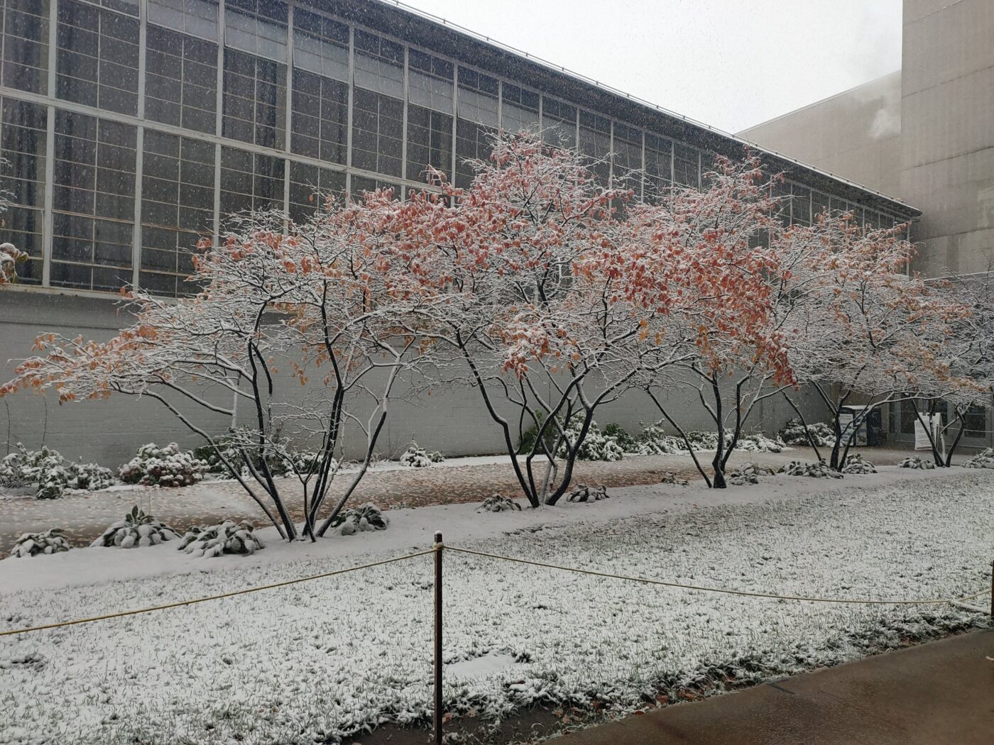 first snow | MIT Admissions