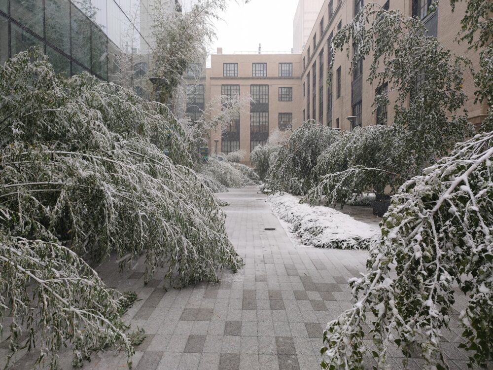 first snow | MIT Admissions