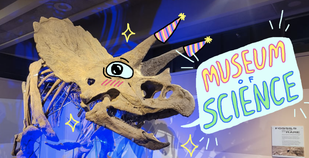 Visiting the Museum of Science | MIT Admissions