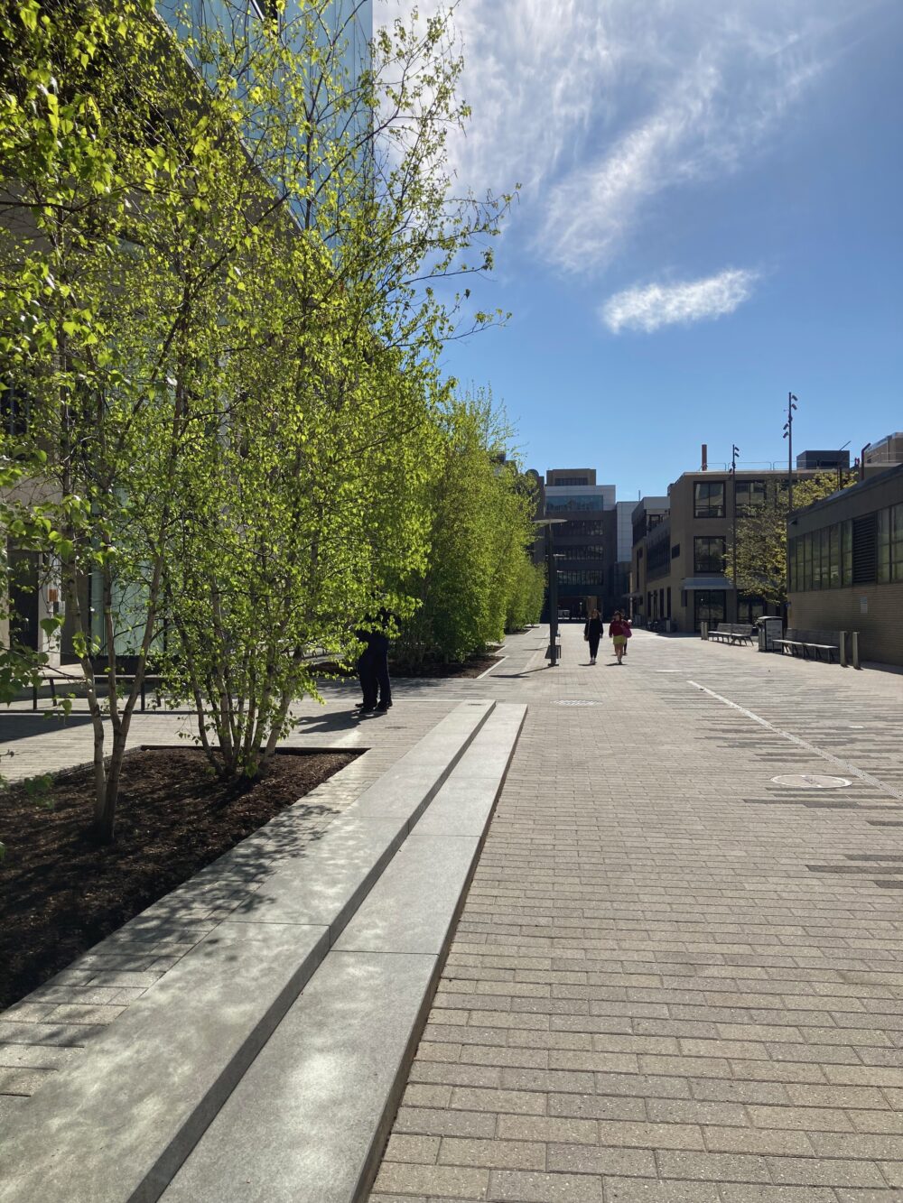 my last undergraduate monday | MIT Admissions