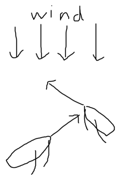 how to sail against the wind | MIT Admissions