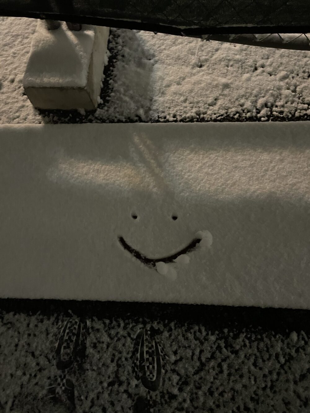 first real snow!! | MIT Admissions