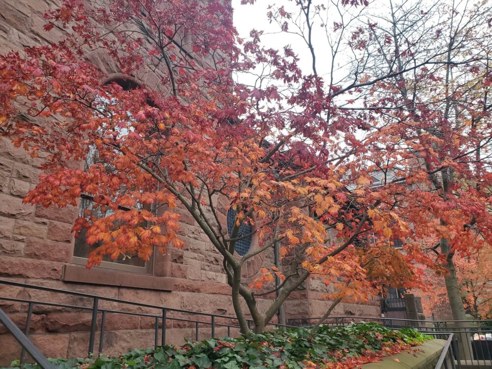 checkboxes | MIT Admissions