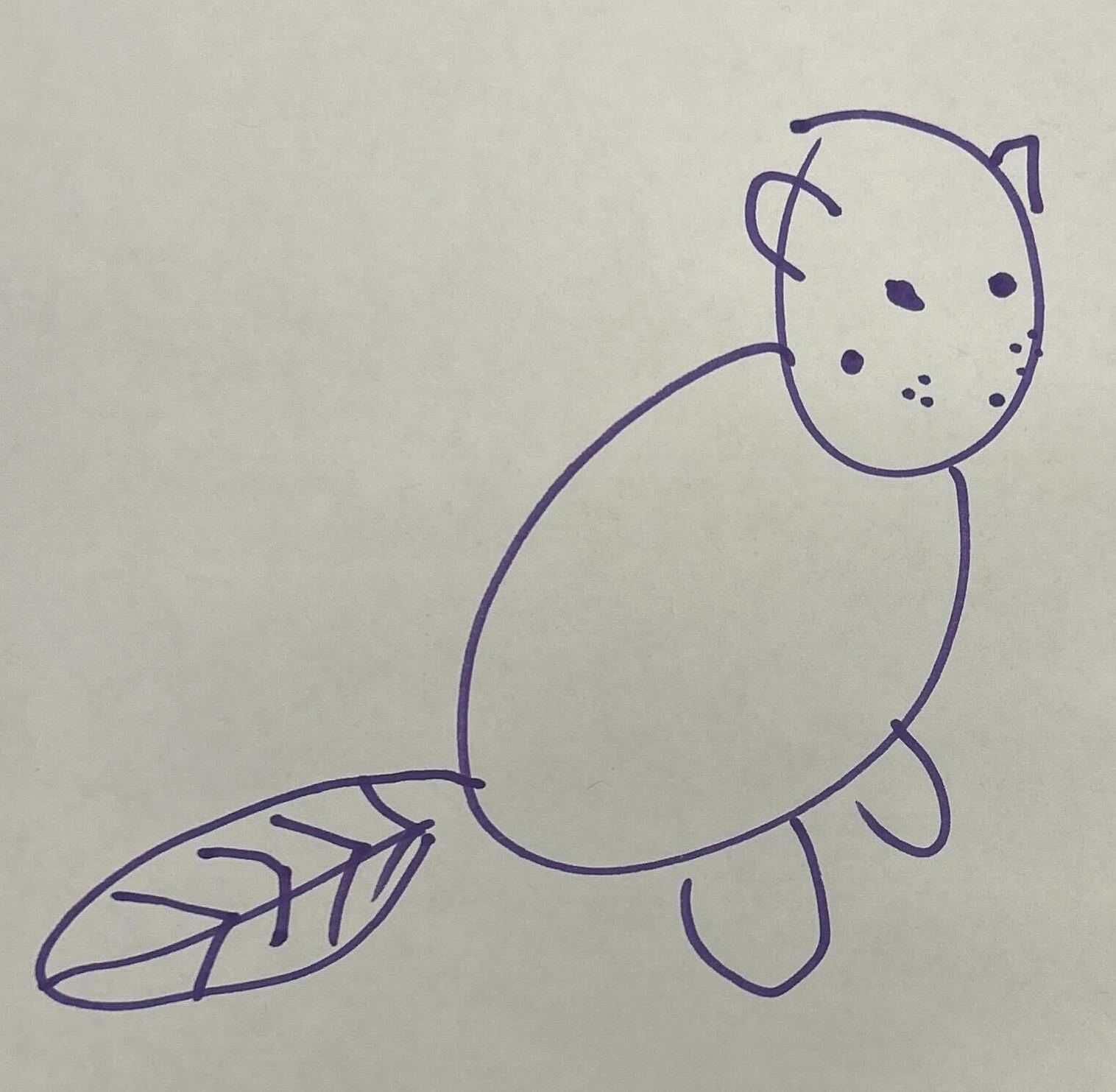 DRAW TIM (the beaver) | MIT Admissions