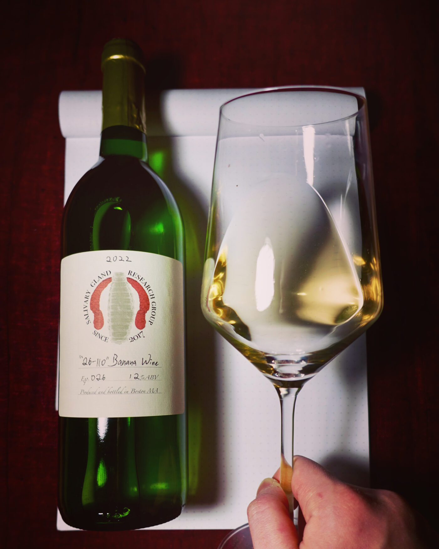 [Guest Post] On Food and Cooking at MIT, Paradiso | MIT Admissions