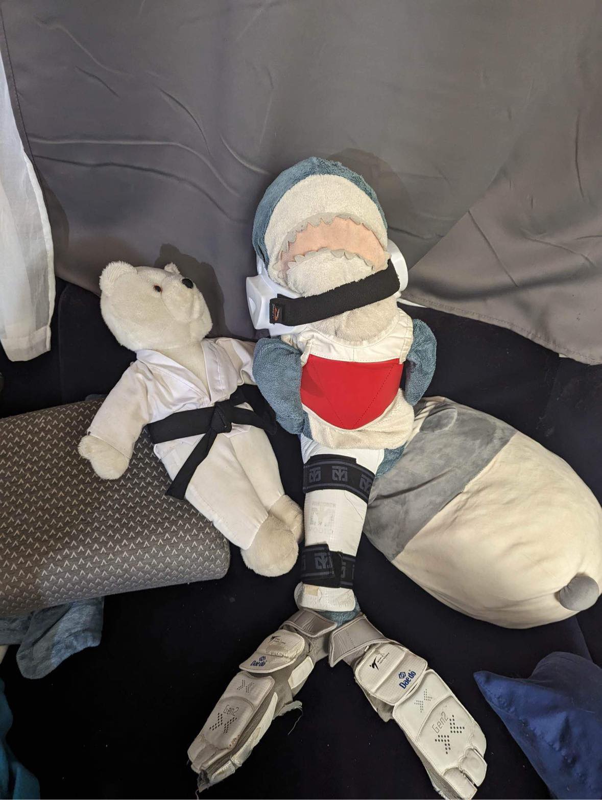 BLÅHAJ: the Internet meme, the trans icon, the world’s favorite plush ...