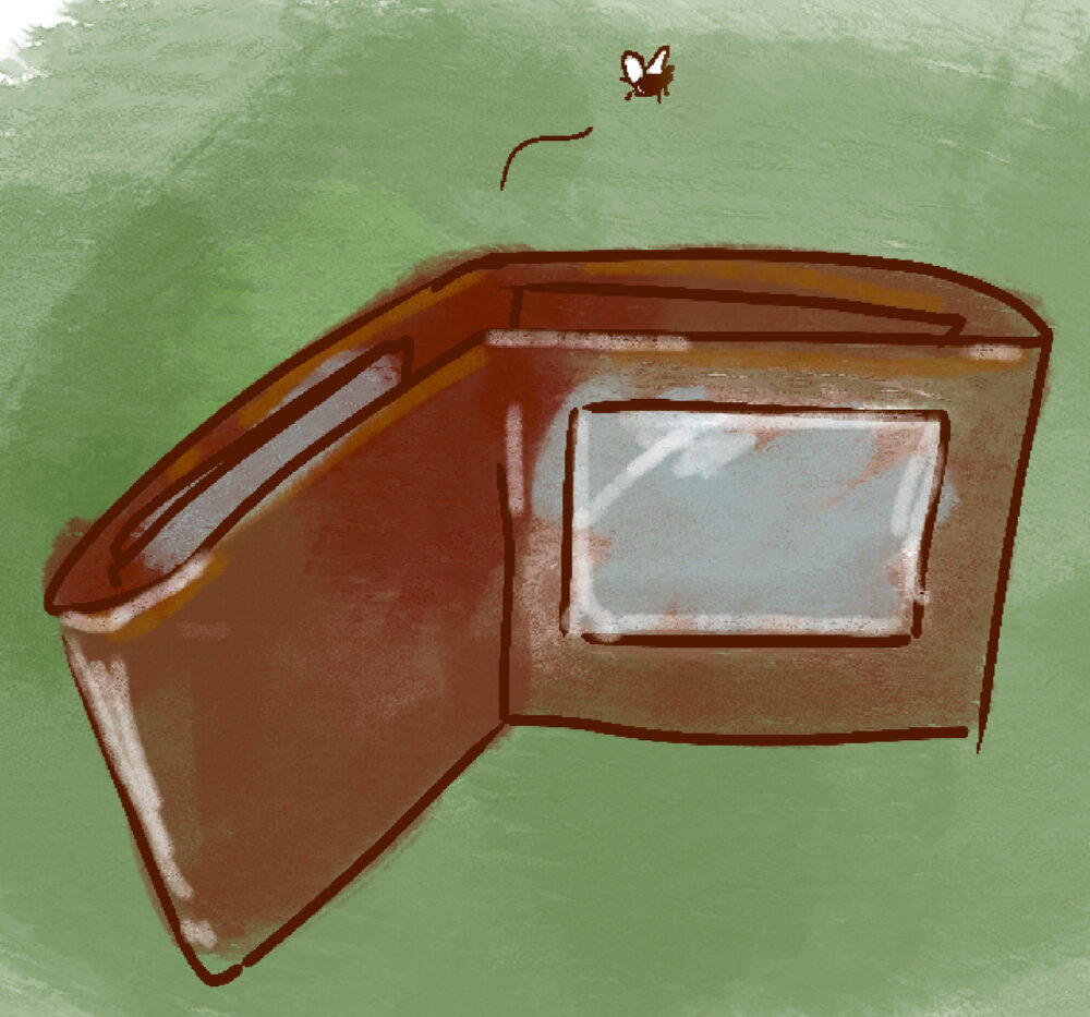 a fun bet | MIT Admissions