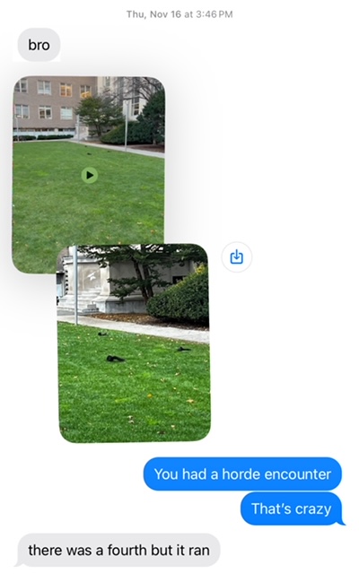 How Albatross Fly Without Flapping Their Wings, | MIT Admissions