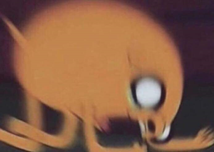 How Albatross Fly Without Flapping Their Wings, | MIT Admissions