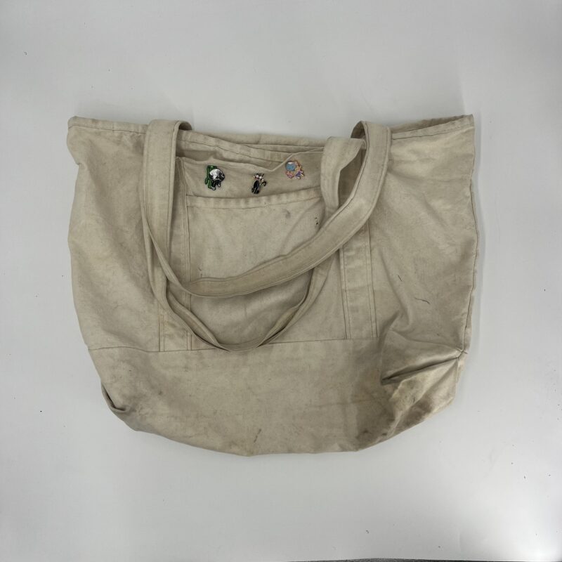 tote bag tour | MIT Admissions