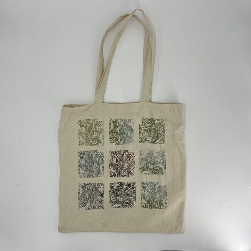 tote bag tour | MIT Admissions