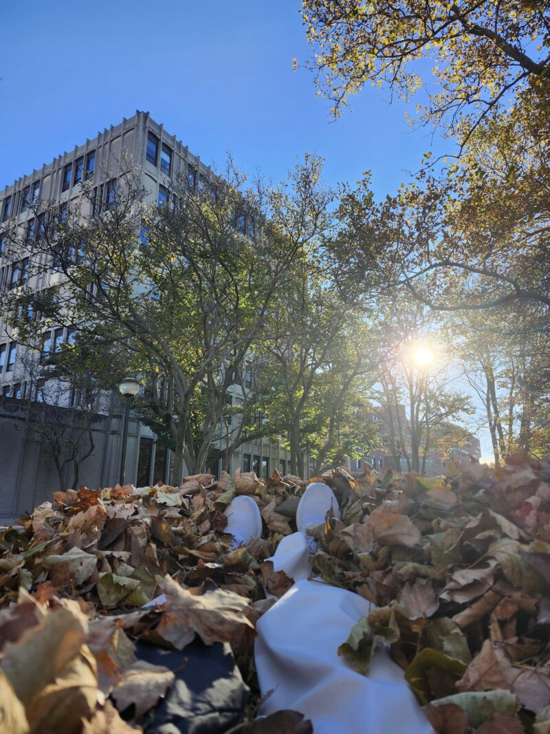 24 Pumpkins | MIT Admissions