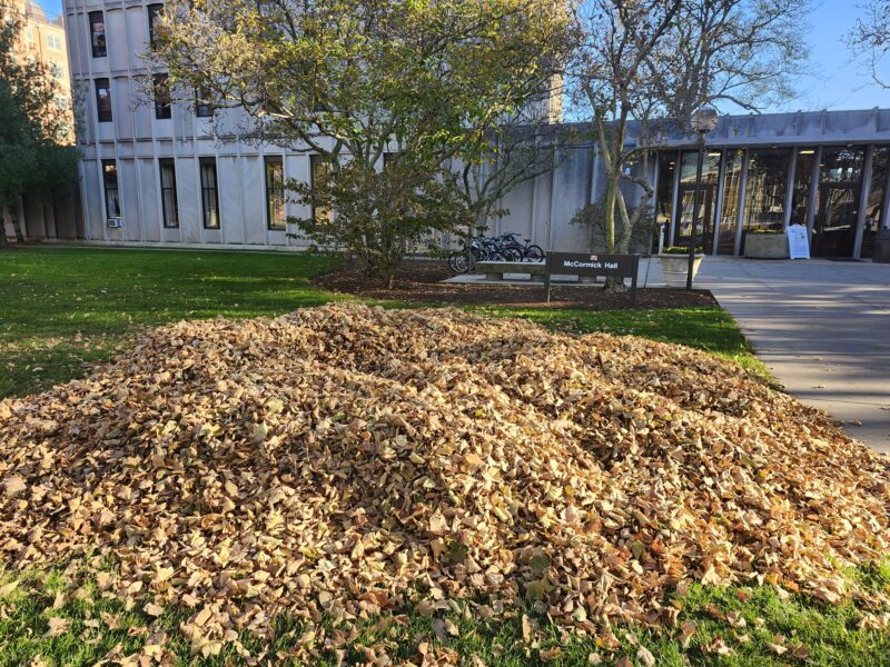 24 Pumpkins | MIT Admissions