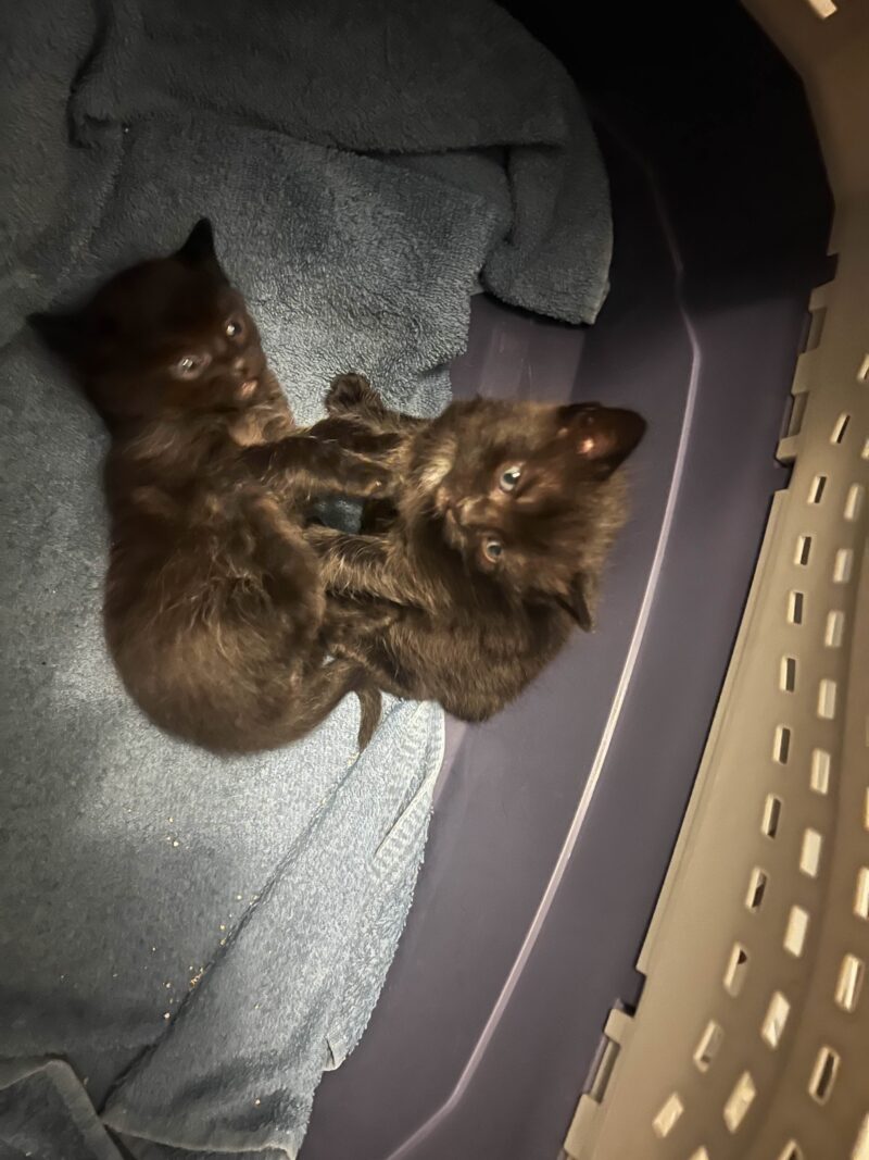 hihi i’m back | MIT Admissions