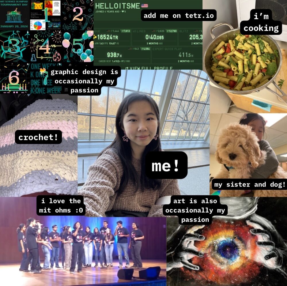 [guest blog] y(I)APping | MIT Admissions