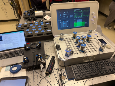 Birds Are Real, and So Is Quantum Physics | MIT Admissions