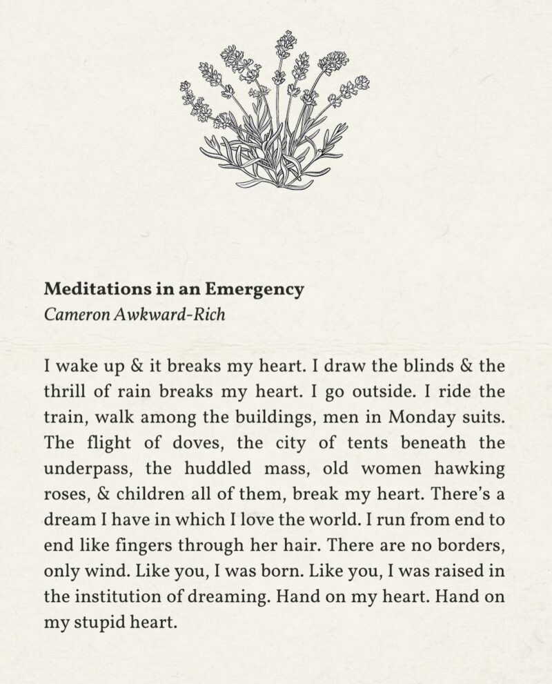 poem snippets | MIT Admissions